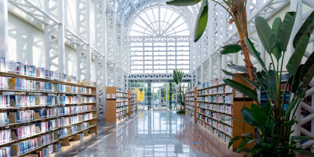 LIBRARY SERVICES – Grace Mission University